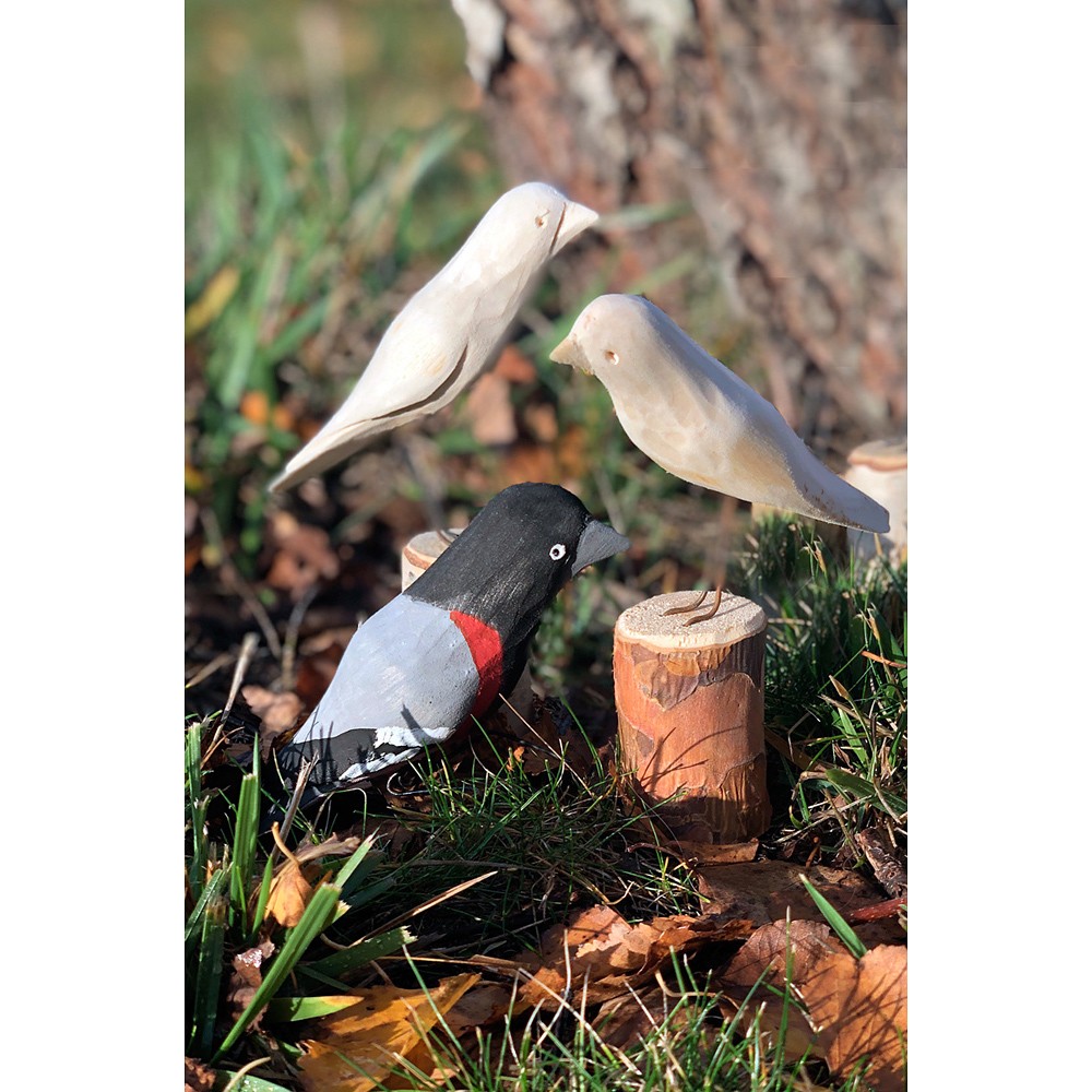 Paint the bird - wooden bird to paint, creative toy. NOYA Design